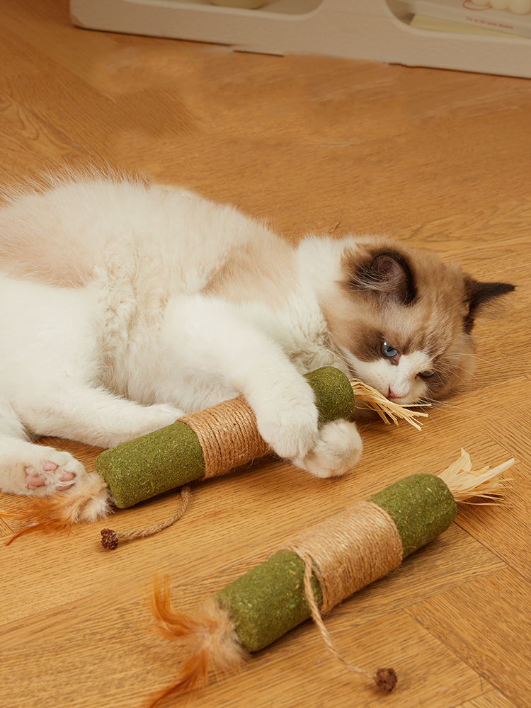 Cat Molar Stick Cat Toy Self-Happy Relieving Boredom Teasing Cat Stick ...