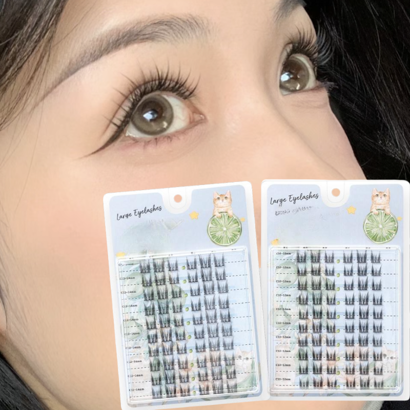 DIY Eyelash Extension Kit -10 segment cluster lashes, doll/animation ...