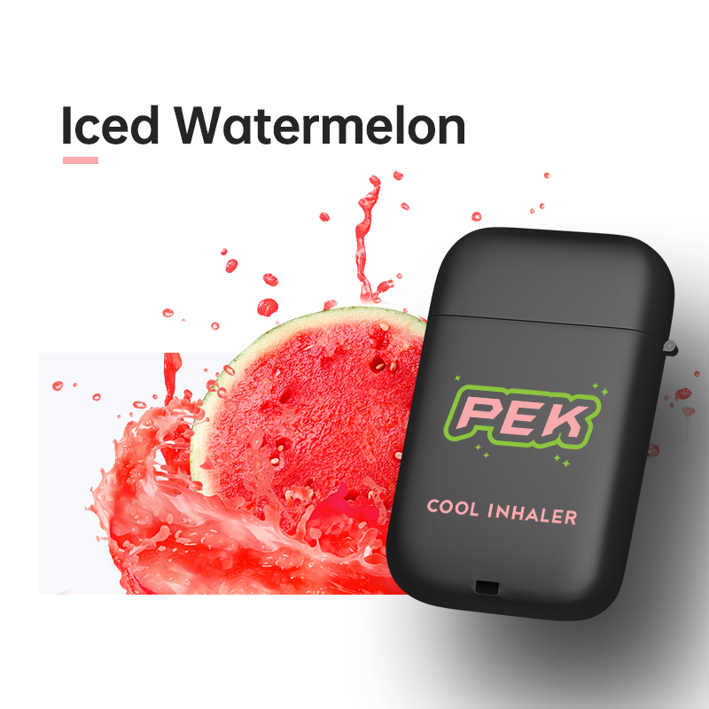 Clamshell PEK Clamshell Double Hole Vital Oil Energy Bar Cool Nostril ...