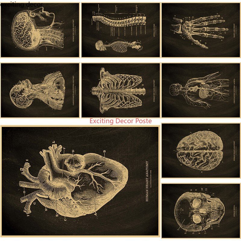 Anatomical Skeleton Chalkboard Poster Kraft Paper Posters Vintage Home ...
