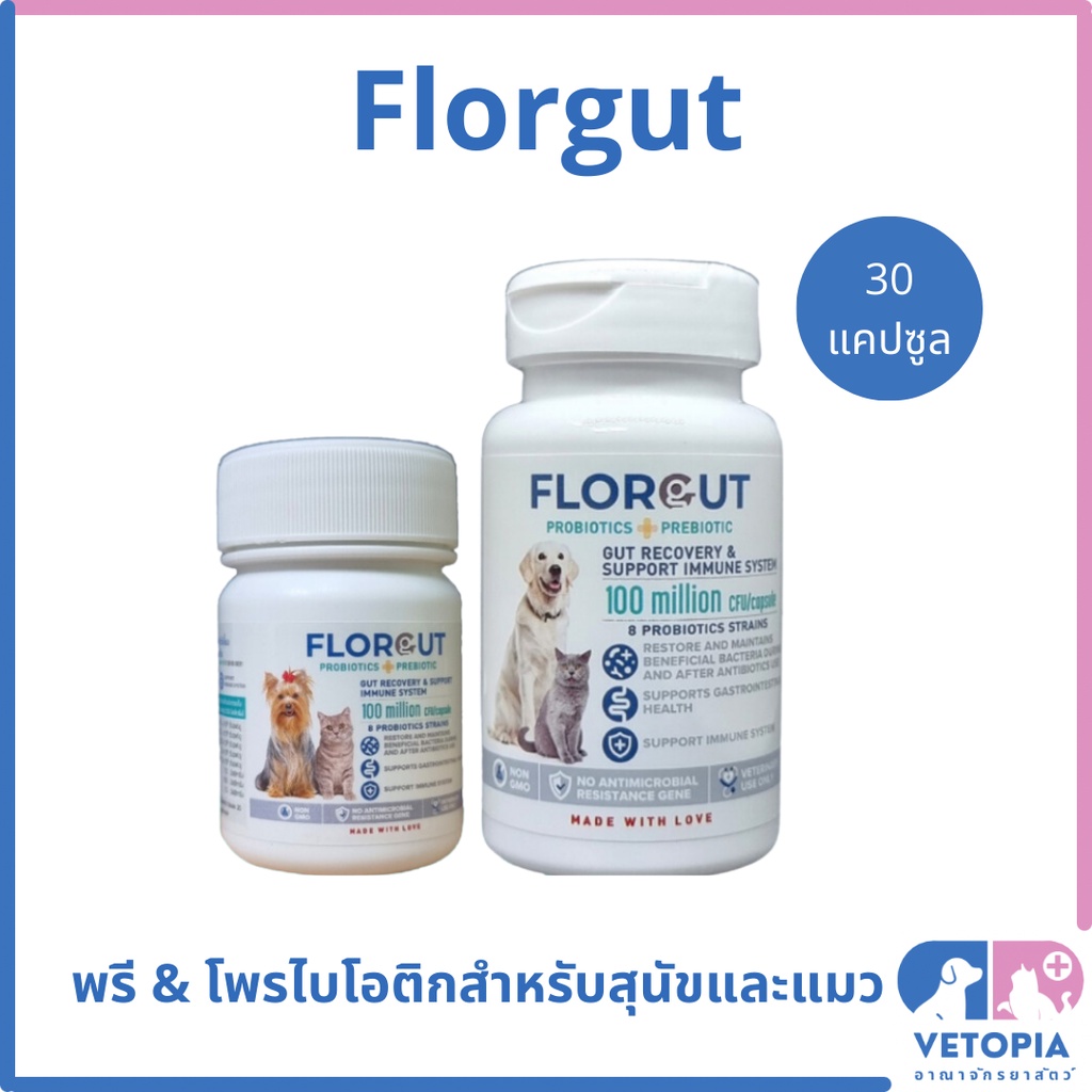 (1 Bottle = 30 Tablets) Florgut Probiotics & Prebiotics And For Dogs ...