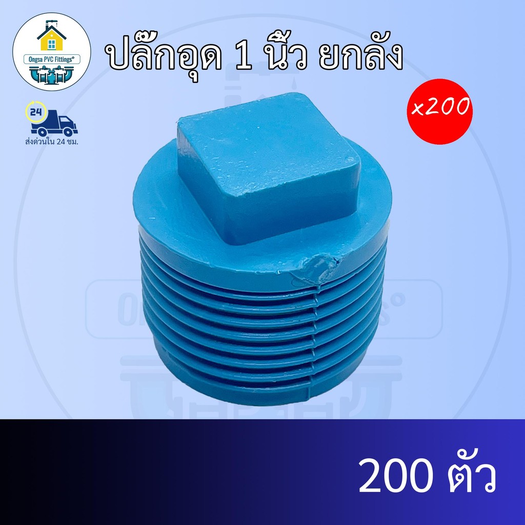 (Carton Of 200 Pieces) 1-Inch Plug Carton PVC Outer Thread 1 Inch ...