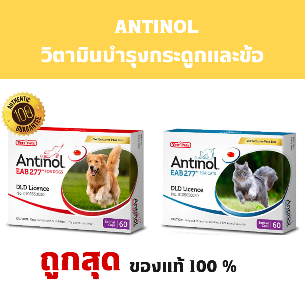 (Share Sale) Antinol Dog & Cat Nourishes Joints Bones Hair Skin And ...