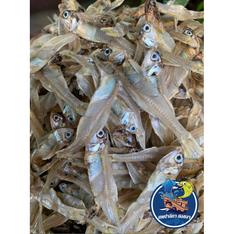 Dried Baby Fish Unflavored Without Salt | Shopee Malaysia