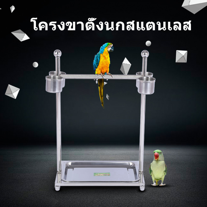 Stainless Steel Bird Display Stand With Toy Hanging Perch No Rust For ...