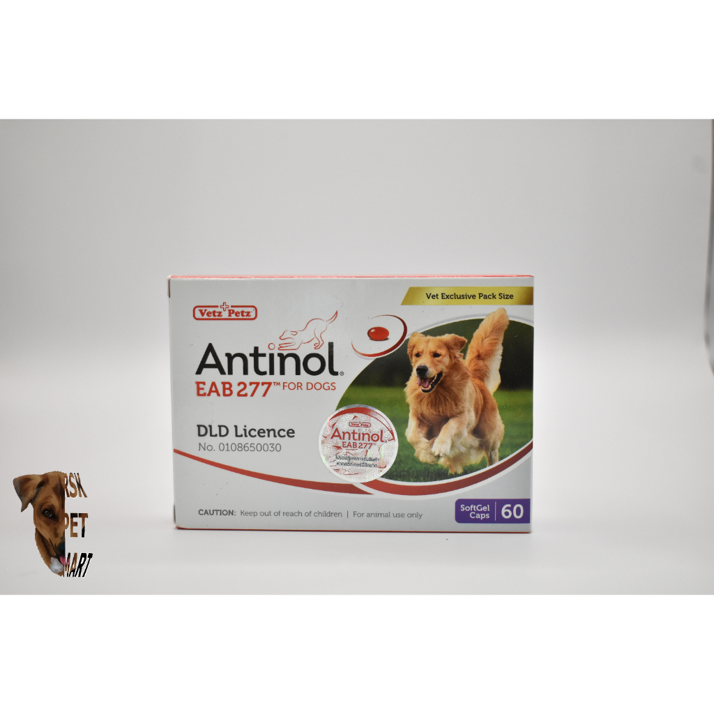 Antinol DOG 60 Caps/1 Box Joint Arthritis Supplement | Shopee Malaysia