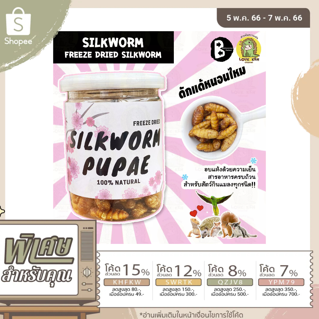 Canned SILKWORM PUPAE FREEZE DRIED | Shopee Malaysia