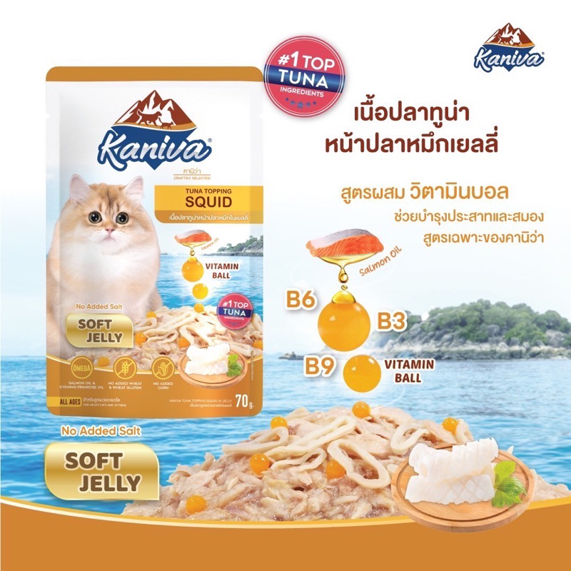 New!! Kaniva Pouch Wet Cat Food Caniva New Formula 70 G. (x12 Sachets ...
