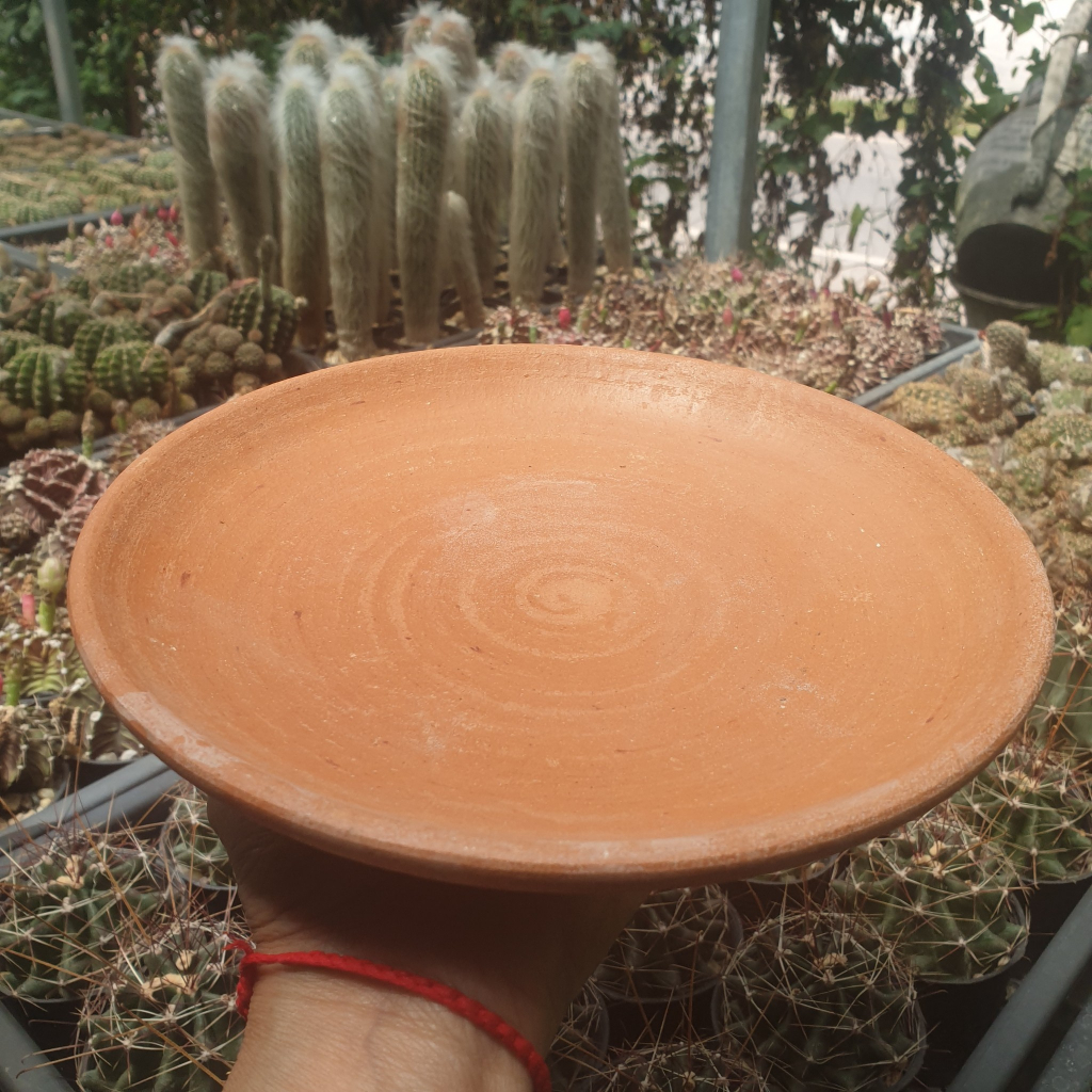 Clay Plate For Rice Food Snacks Fruits Size 8 Inches (Get 1 Piece ...