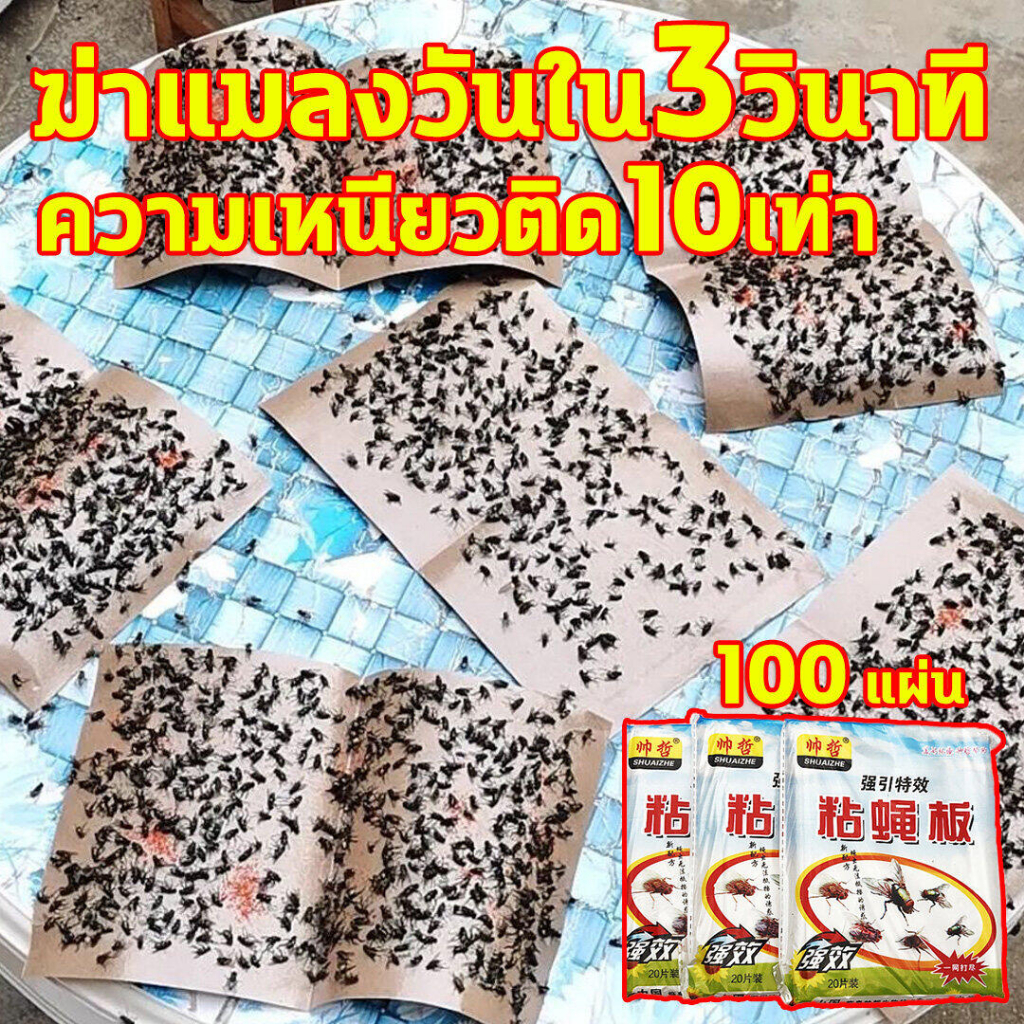 Sticky Fly Sheet Paper Insect Trap 20 Sheets Glue Flies Traps | Shopee ...