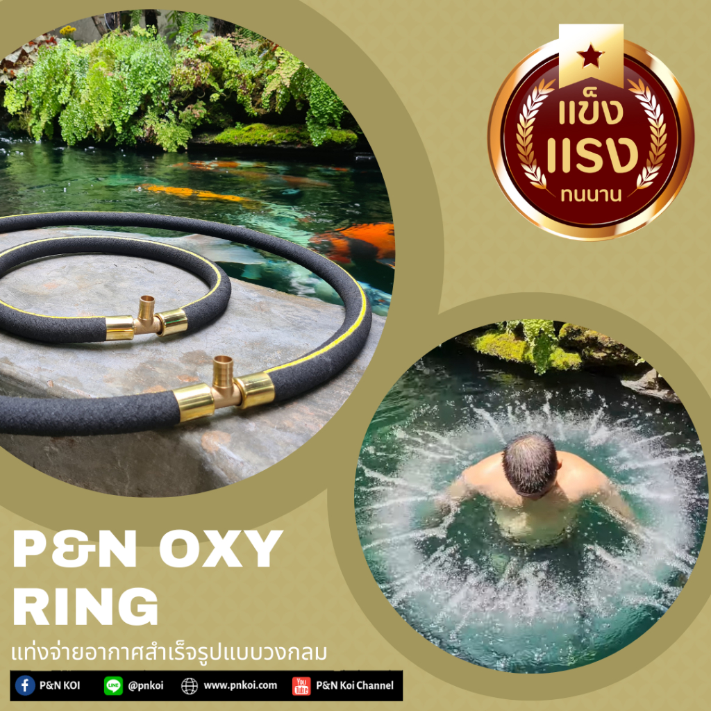 P&N Oxy Ring Circular Shape Oxygen Stick Fish Pond And Aquarium Premium ...