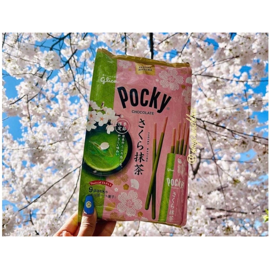 Pocky New Flavor Chocolate Matcha Sakura 1 Pack Contains 8 Sachets ...