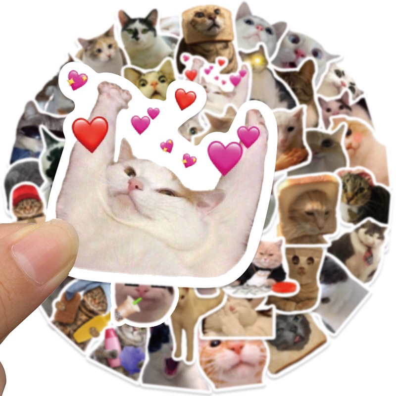Send Quickly Cat Stickers 50 Pieces Waterproof PVC Paste Diary Case Die ...