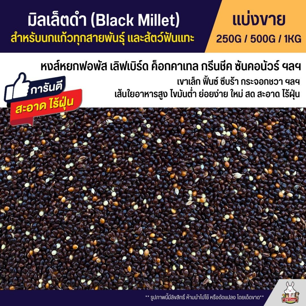 Black Millet Grade A Food For Parrots And Rodents Clean Sifted Dust ...