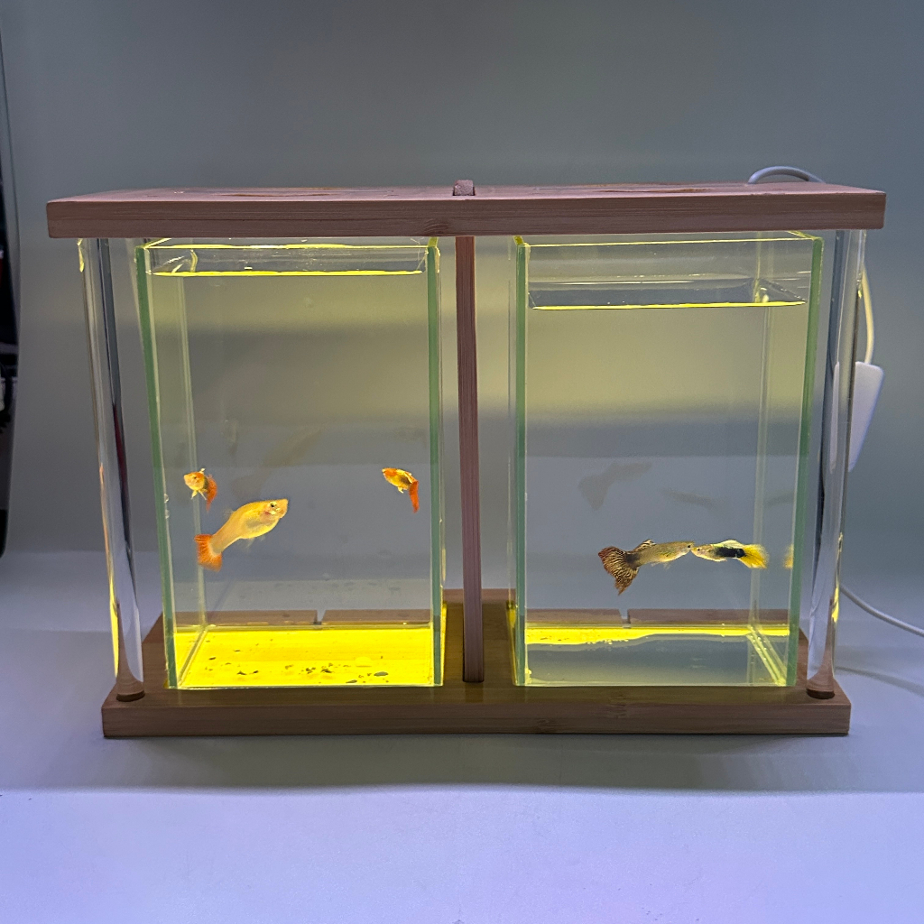 Fish Jar 2 Compartments Mini Size Aquarium Has Fire | Shopee Malaysia