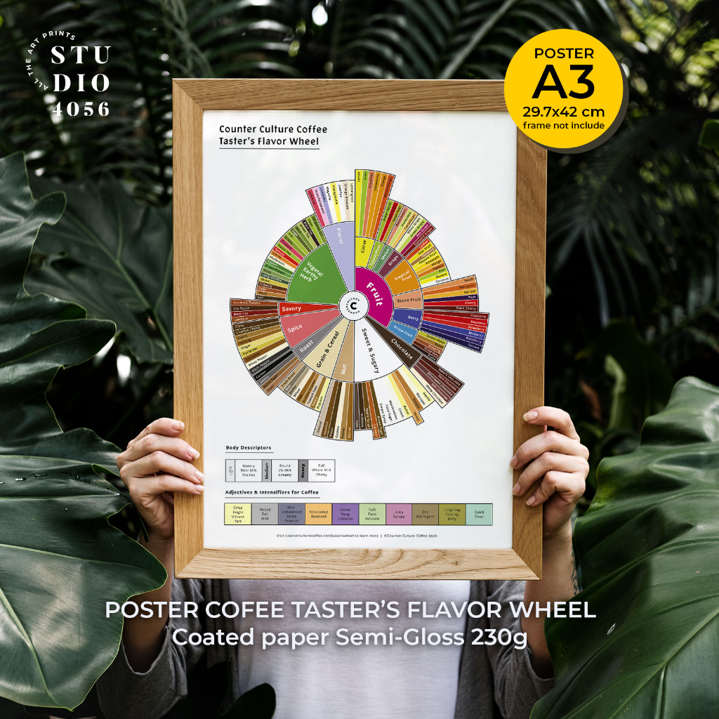 Counter Culture Coffee Taster's Flavor Wheel Poster size A3 Unframed ...