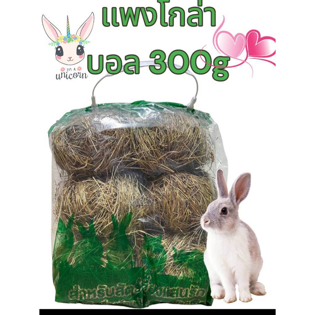 Pangola Grass Xx Ballxx For Rabbit Bunny And Treats High Protein 300g ...
