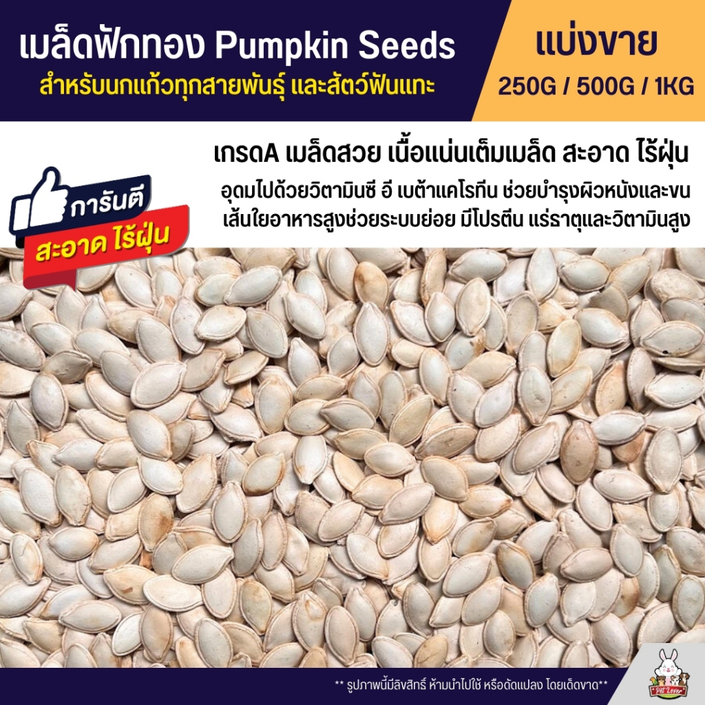 Pumpkin Seeds Grade A Food For Parrots Hamsters And Rodents (Sold ...