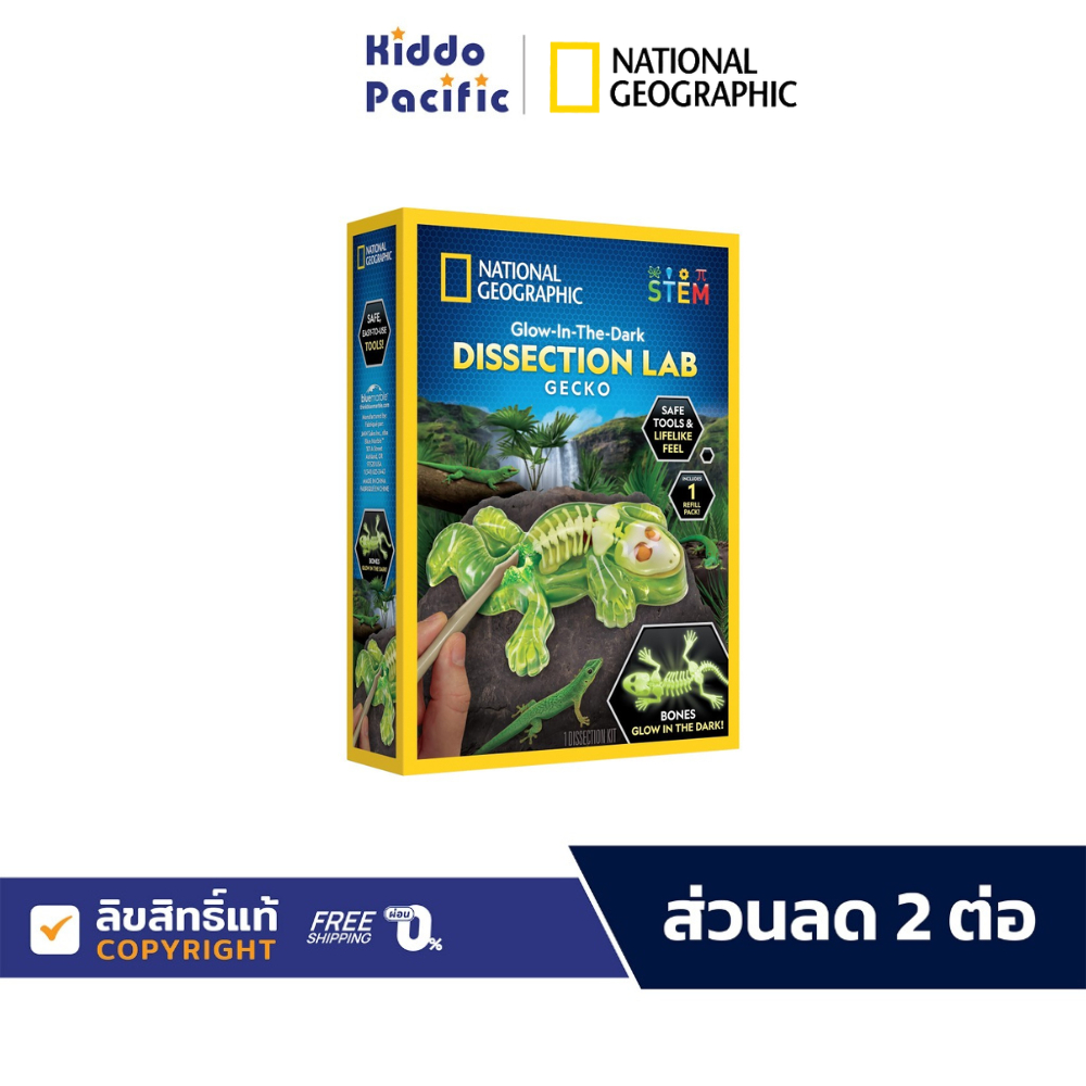 National Geographic Gecko Dissection Lab Toy Cut Luminous Simulation ...