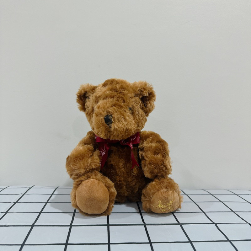 Angel Wings Soft Fluffy Teddy Bear | Shopee Malaysia