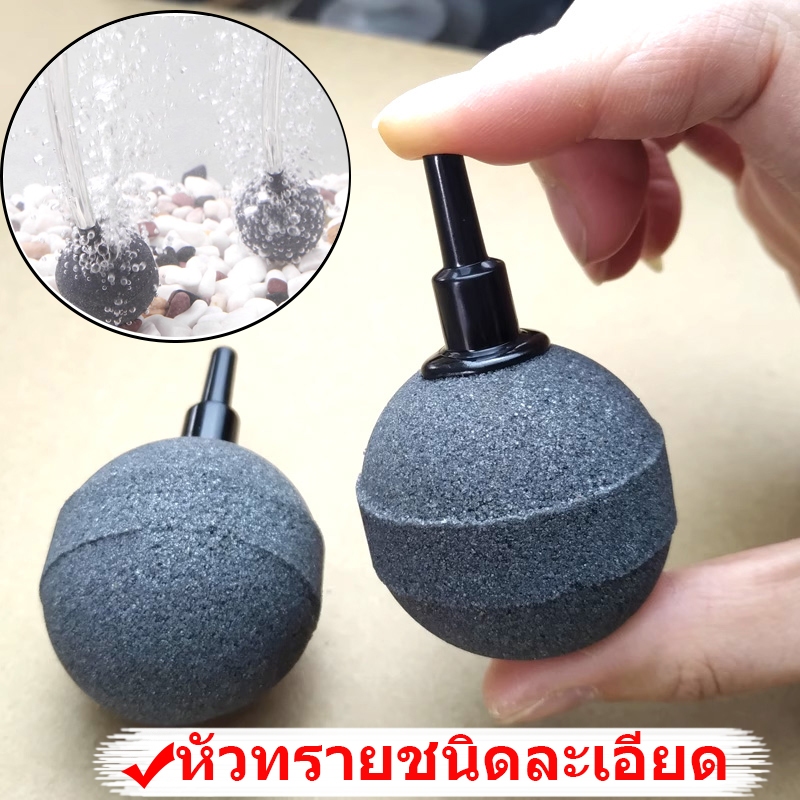 Was Oxygen Sand Concentrator Air Nozzle Fine Increase In The Aquarium ...