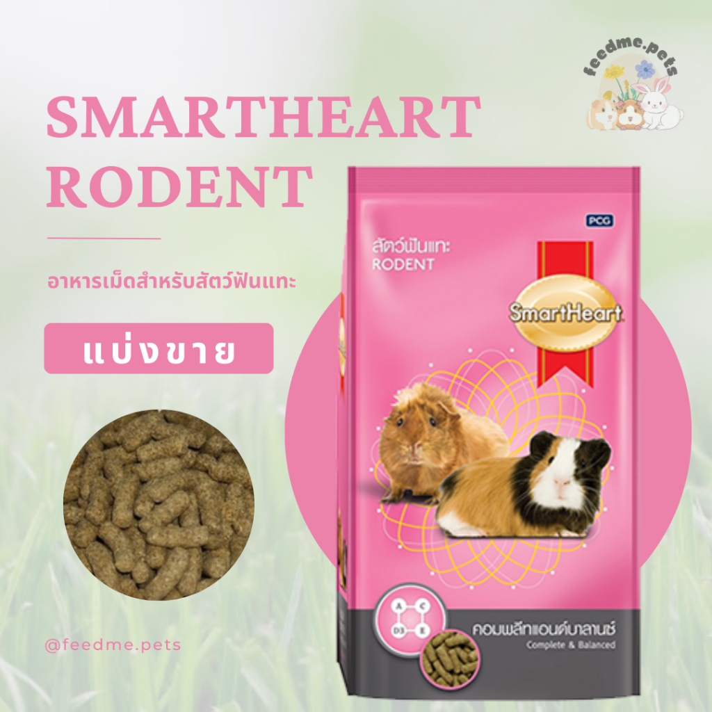 SmartHeart Smart Heart Rodent Food Complete And Balance Formula (Sold ...