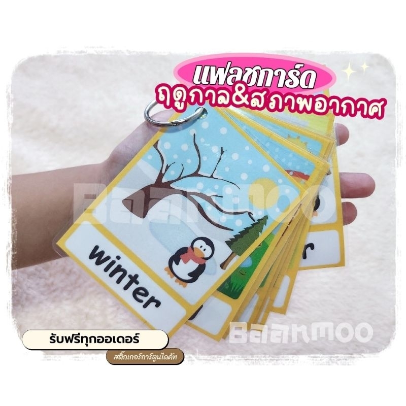 flashcard Flash Card Season & weather Seasons And 10 Cards Enhance ...