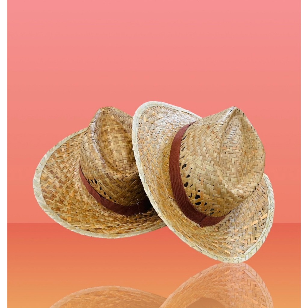 Straw Hat Charlie Planter | Shopee Malaysia