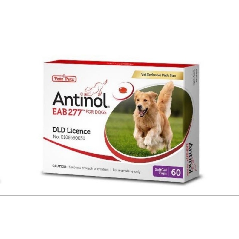 Antinol DOG 60 Capsules (Expires 08/2025) New Package Arthritis ...