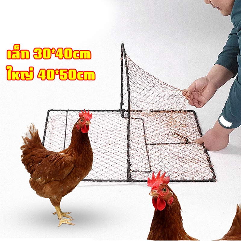 Mesh Chicken Trap All Kinds Of Birds Nets Nylon Bird Stainless Steel ...