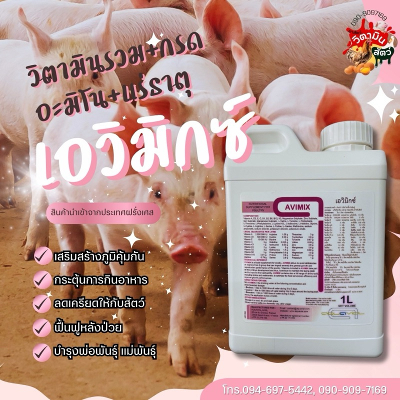 Multivitamin Amino Acids Minerals Nourishing Animals Avimix | Shopee ...