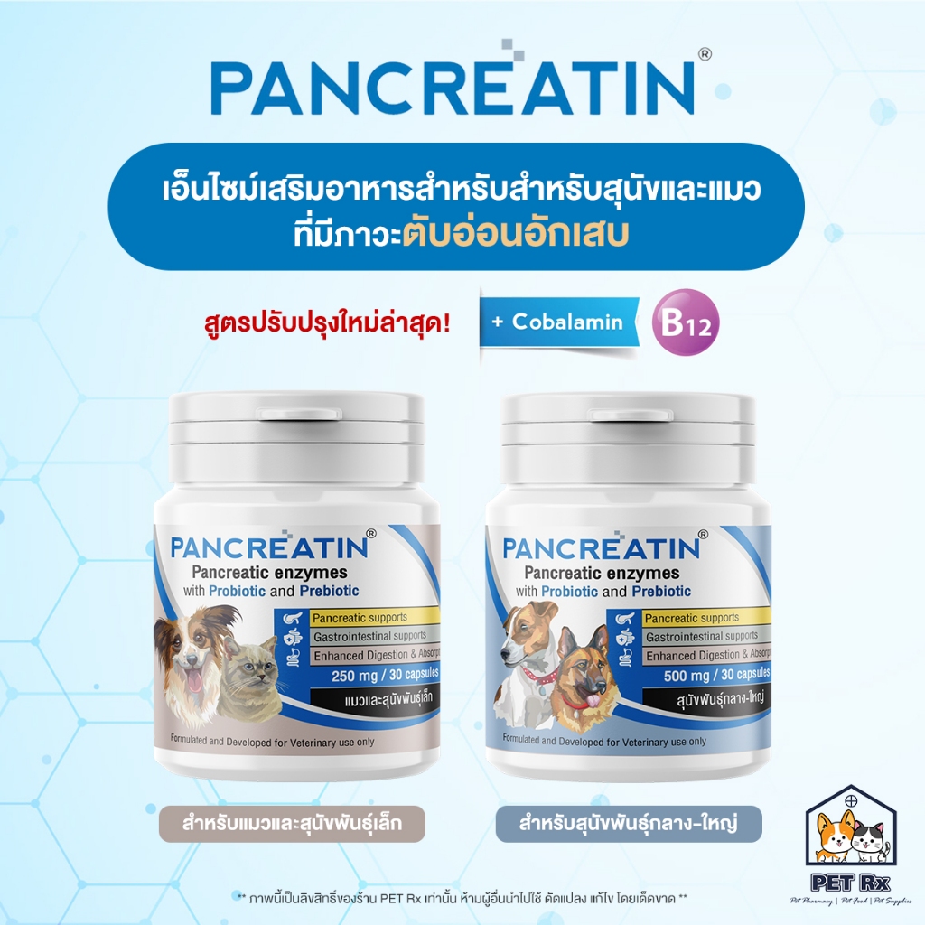 Pancreatin [Authentic] Dietary Enzyme Product For Dogs And Cats With ...