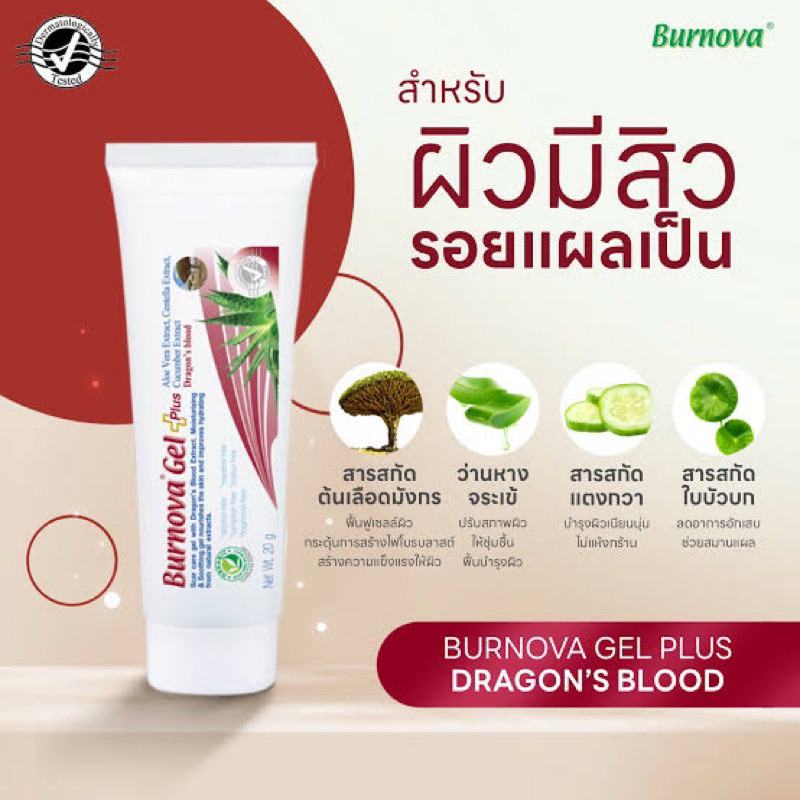 (Big Tube) Vitamina Burnova Gel plus 50g Dragon's Blood New Bernova ...