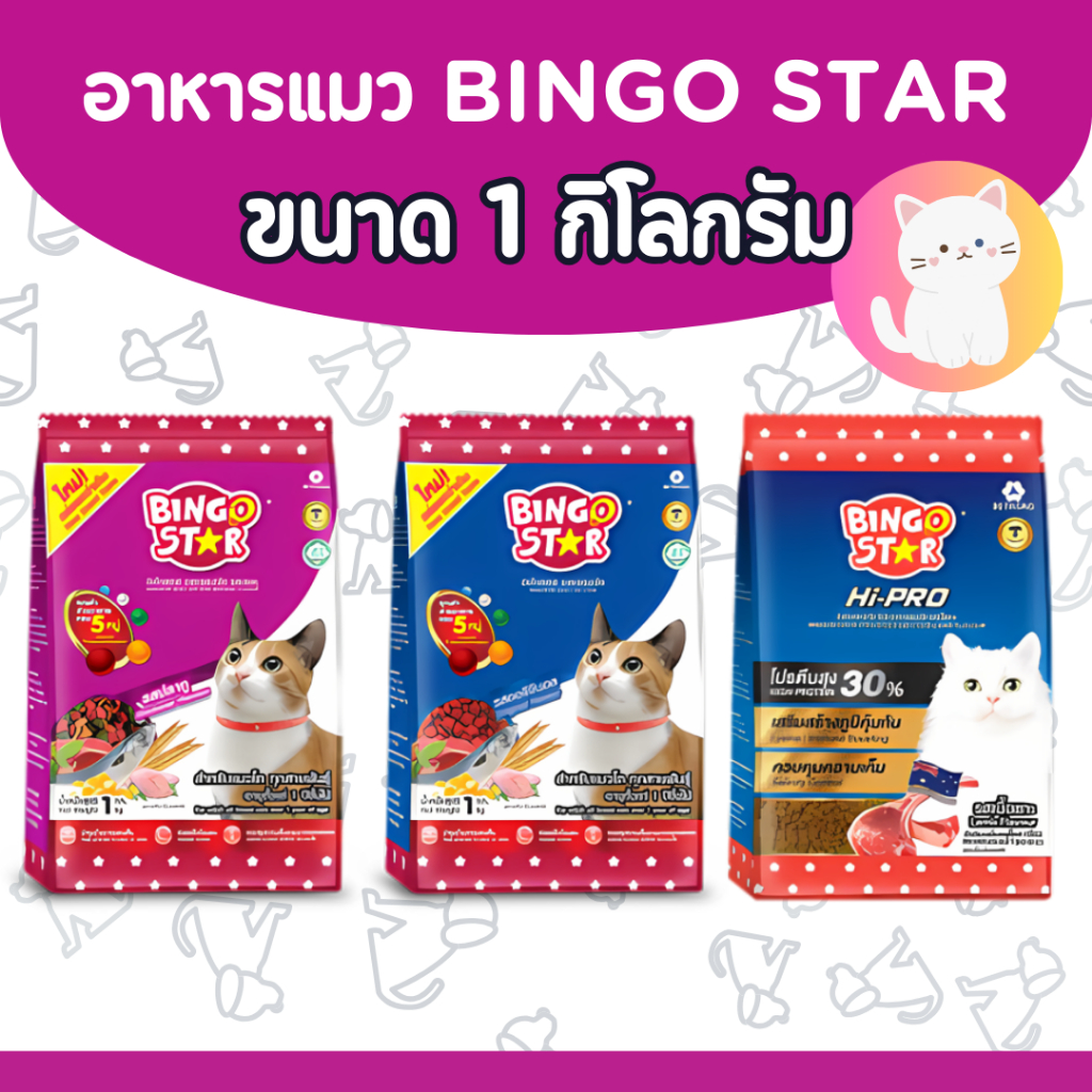 Bingo star Cat Food 1 kg | Shopee Malaysia