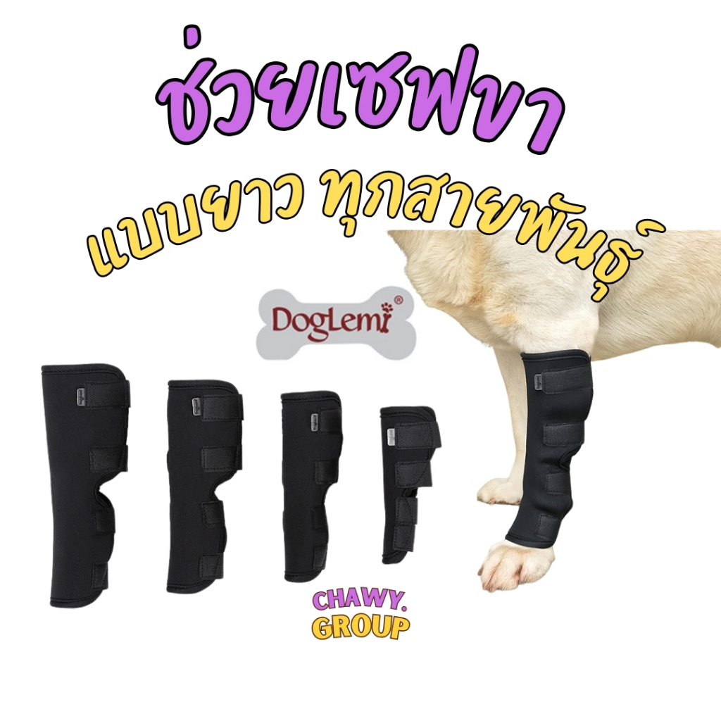 Doglemi Dog Ankle Support Leg Strap Long (Hock Brace) | Shopee Malaysia