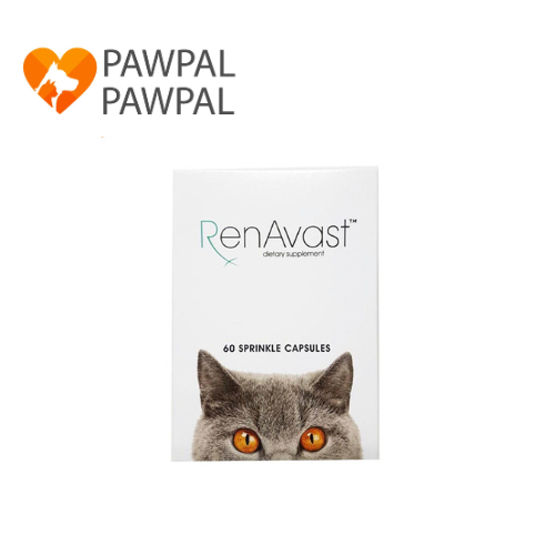 RenAvast Cat Exp.4/2026 Protein supplement For Kidney Disease Renal ...