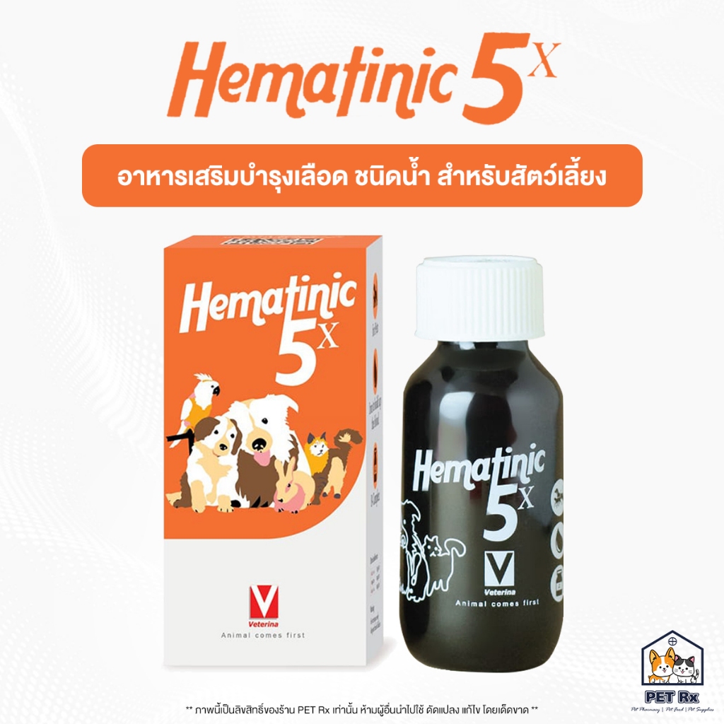 Hematinic 5x [Authentic] Blood Tonic Supplement Liquid Type For Dogs ...