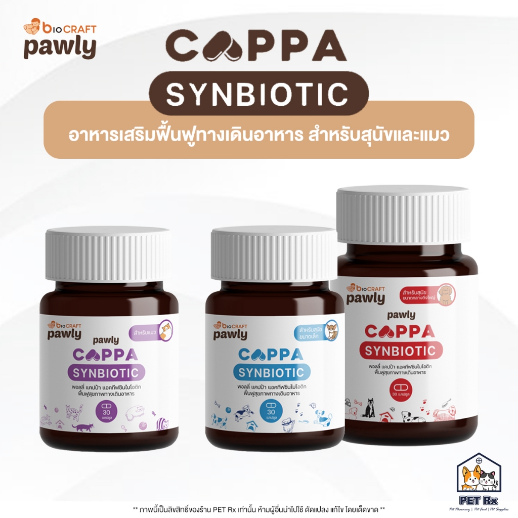 CAPPA: Synbiotic [Authentic] Active Supplement Help Restoring Digestive ...