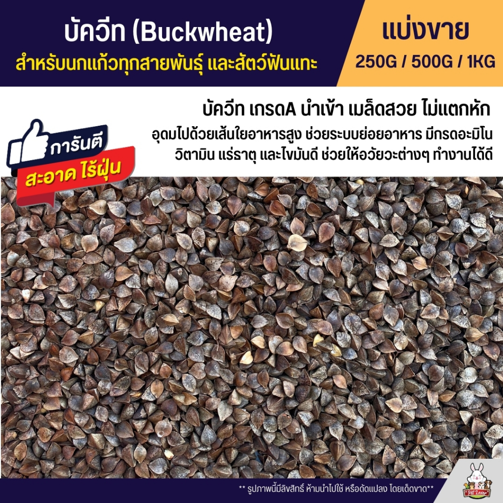 Buckwheat Grade A Parrot Food And Rodents Clean Sifted Dust Every Bag ...