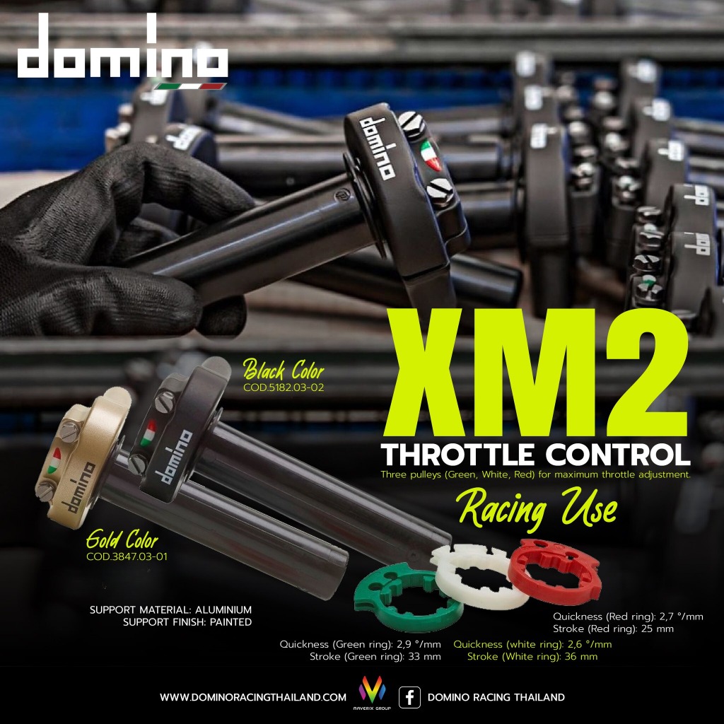Domino Racing With XM2 For 2-Wire Throttle From Italy Black/Gold/Red ...