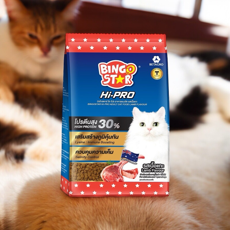 Bingo Hi-PRO High Protein Cat Food Star Size 1 kg Lamb Flavor | Shopee ...