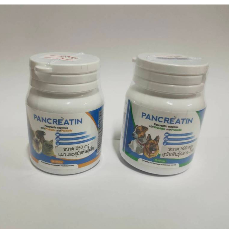 Pancreatin Contains 30 Capsules. Dietary Supplement For Dogs And Cats ...