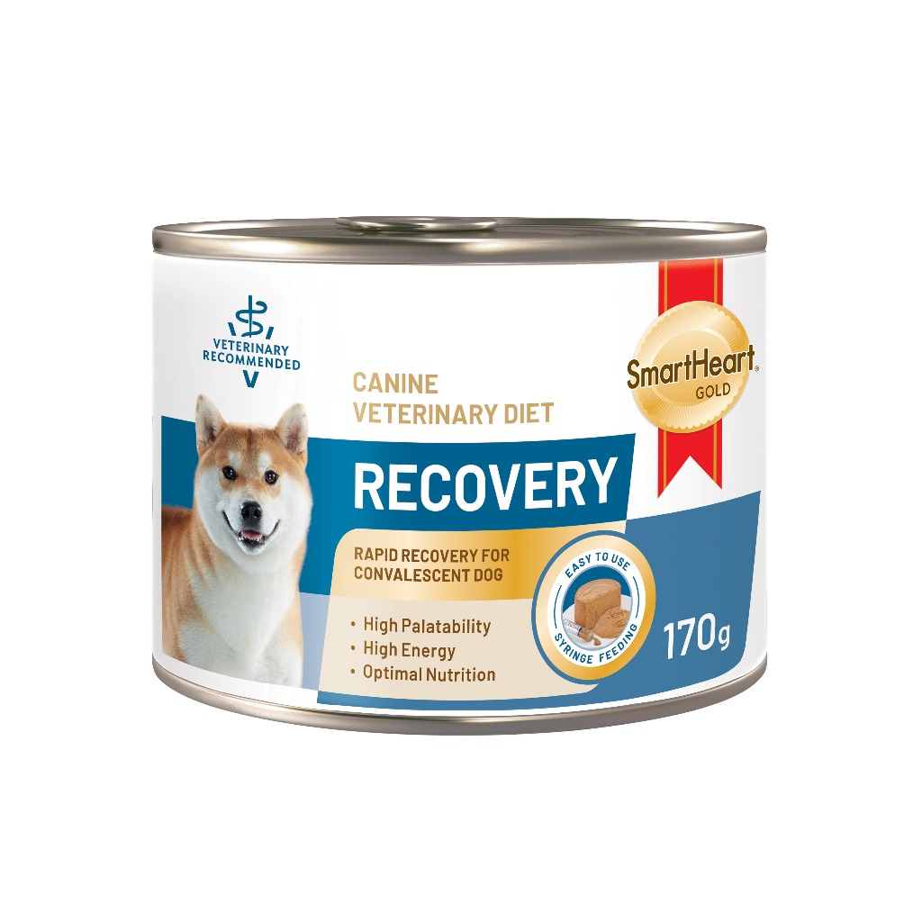 Smart Heart Gold Recovery Dog Food Sick Size 170g./Canister | Shopee ...