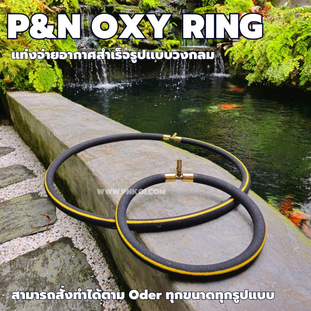 P&N Oxy Ring Circular Shape Oxygen Stick Fish Pond And Aquarium Premium ...
