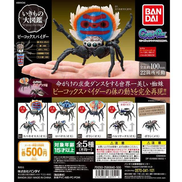 [Gashapon] Bandai Dango Mushi Peacock Spider Action V.01 (Complete Set ...