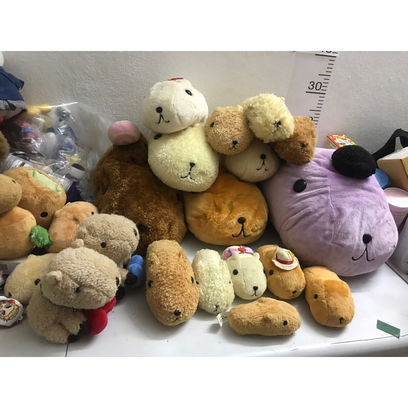 Capi Doll Coconut Dog Capibara Has A Tag Not Hanging. | Shopee Malaysia