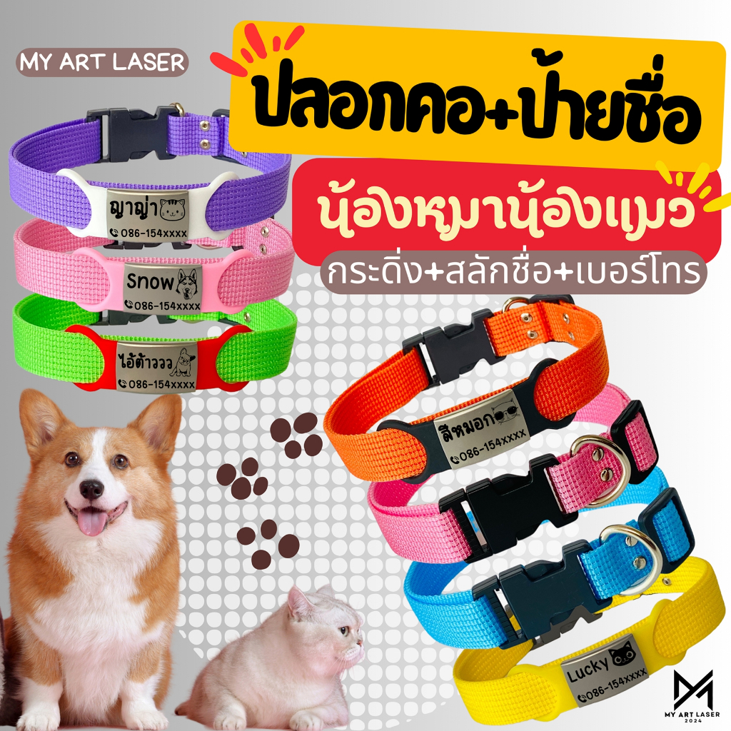 Pet Name Tag + Collar Dog And Cat Sign Mixed Color Bell Stainless Steel ...
