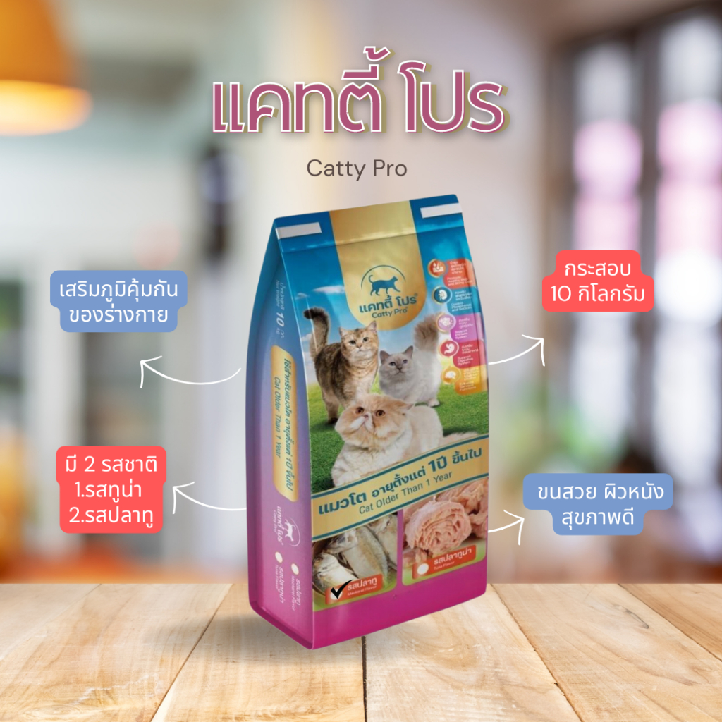 Catty Pro Katty-Standard Formula Cat Food 10kg | Shopee Malaysia