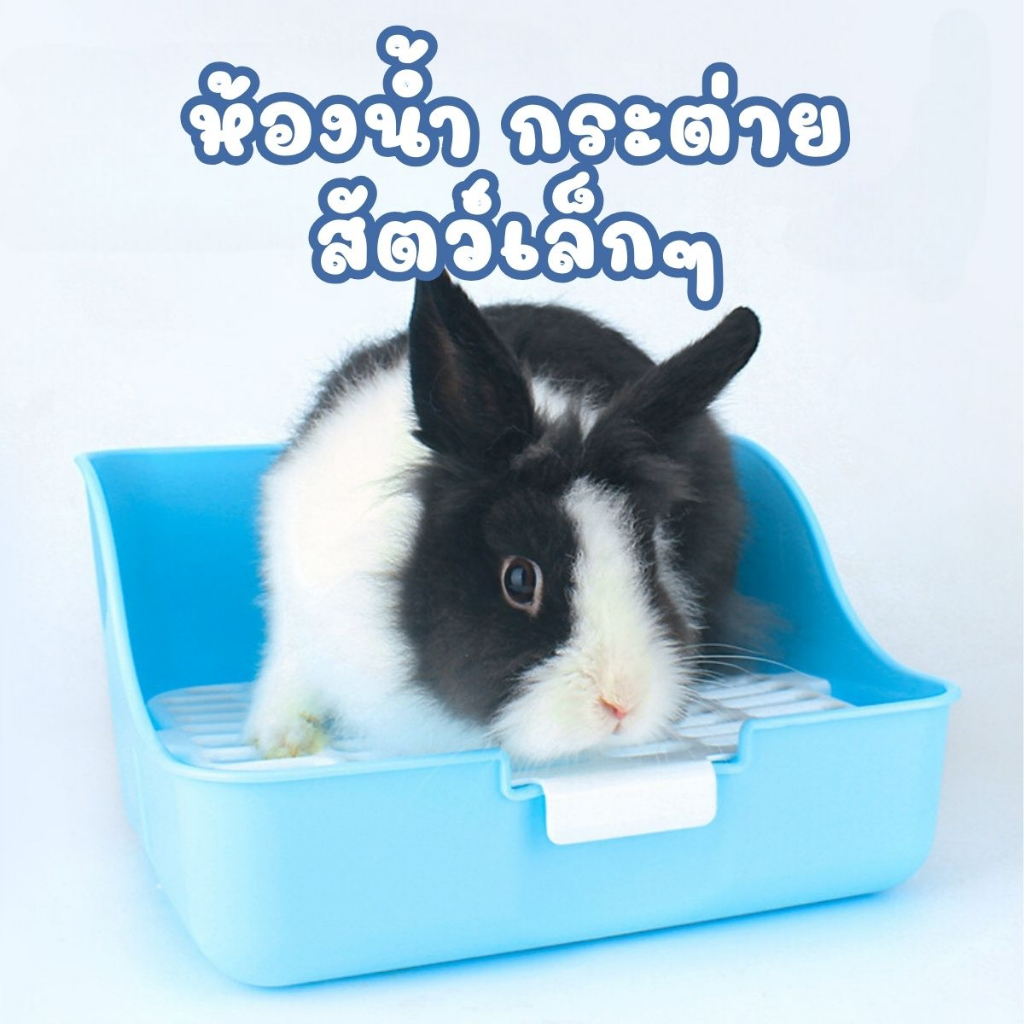 From Thailand Rabbit Toilet Small Animal Squirrel Guinea Pig Gatsby Rat ...