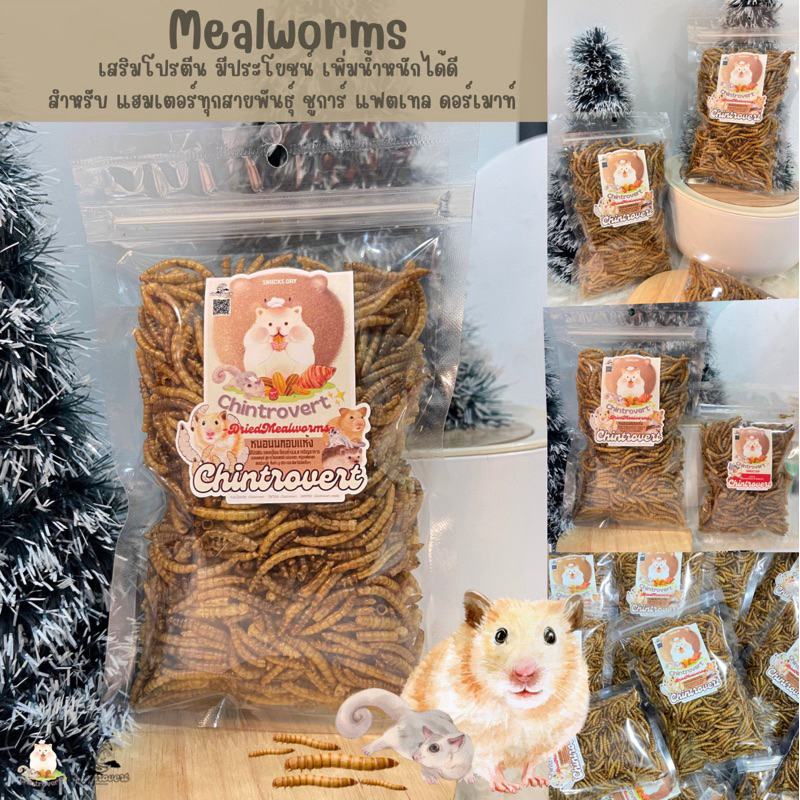 Chintovert | Dehydrated Worms 20g-50g Add Protein Calcium For Hamsters ...